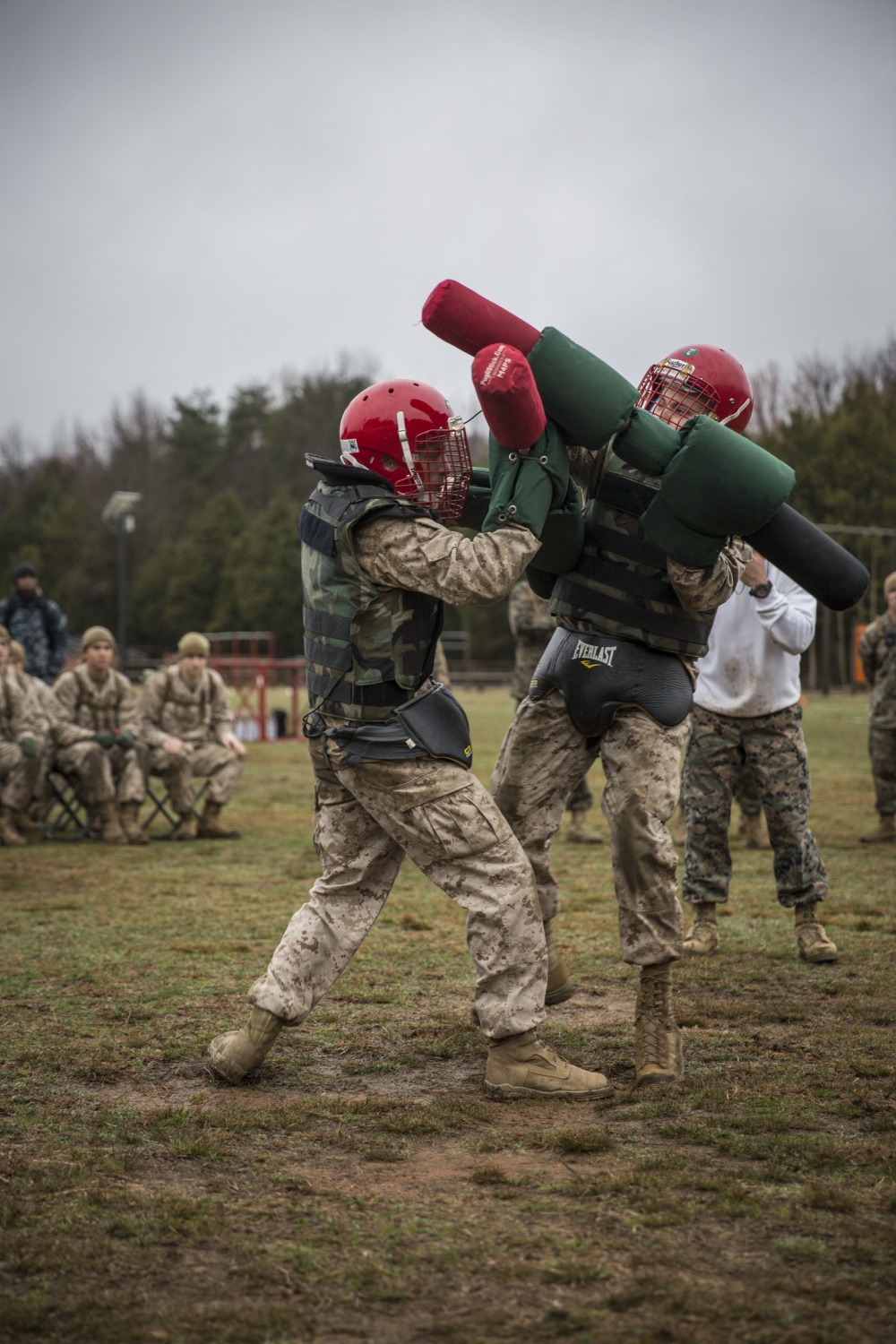 Marine Pugil Sticks Wallpapers - Wallpaper Cave