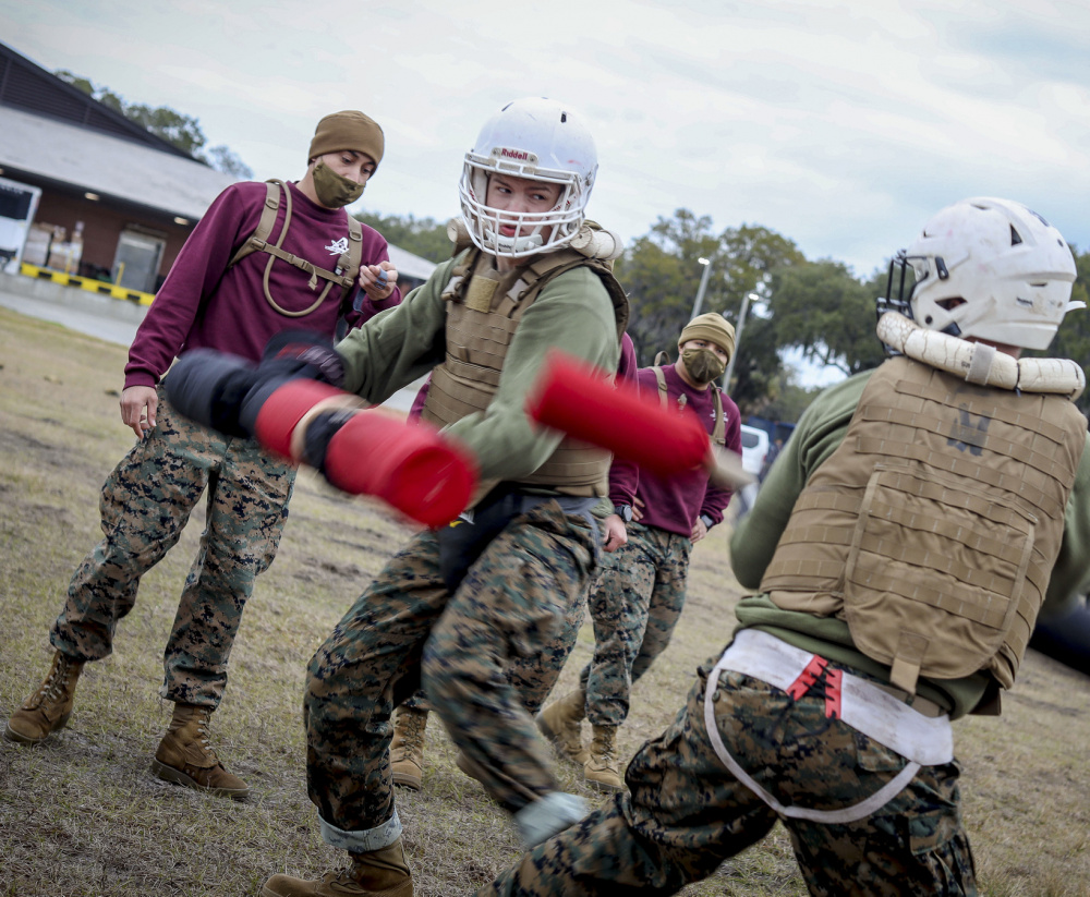 Marine Pugil Sticks Wallpapers - Wallpaper Cave