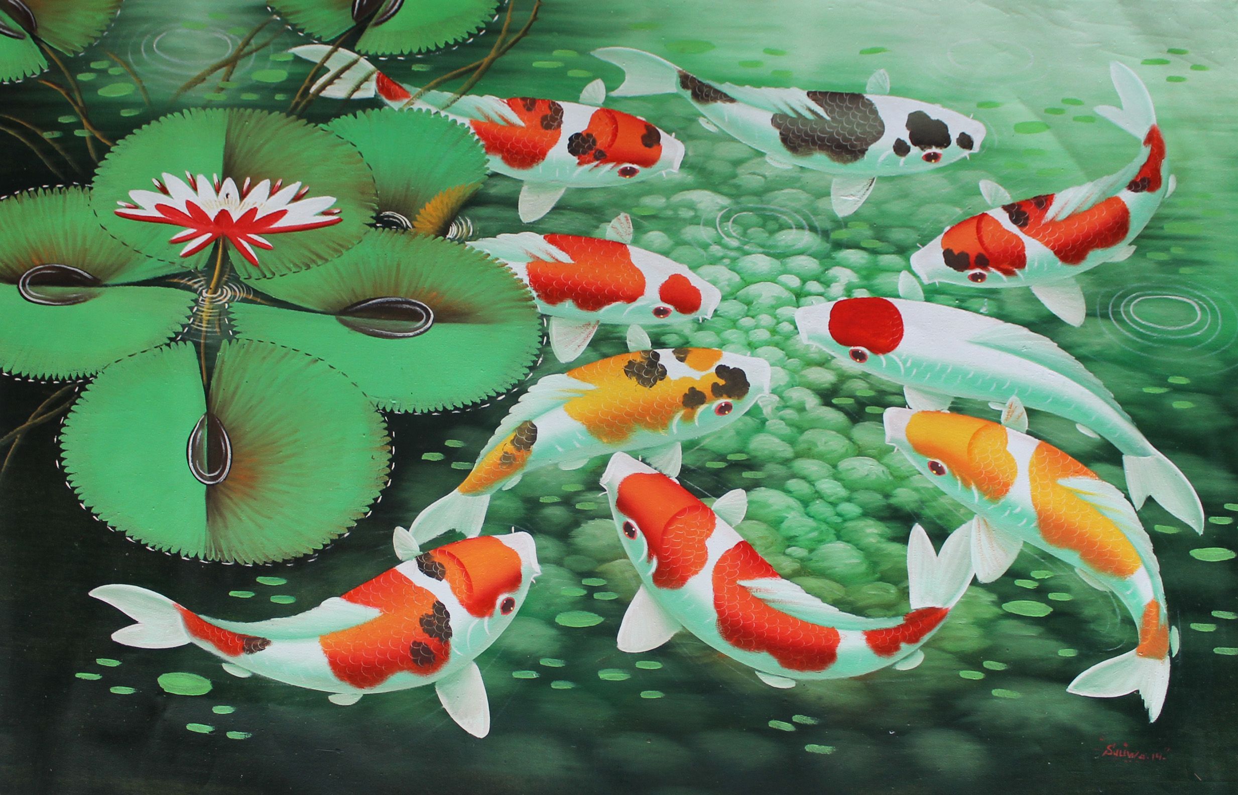 Fish Art Wallpapers Wallpaper Cave