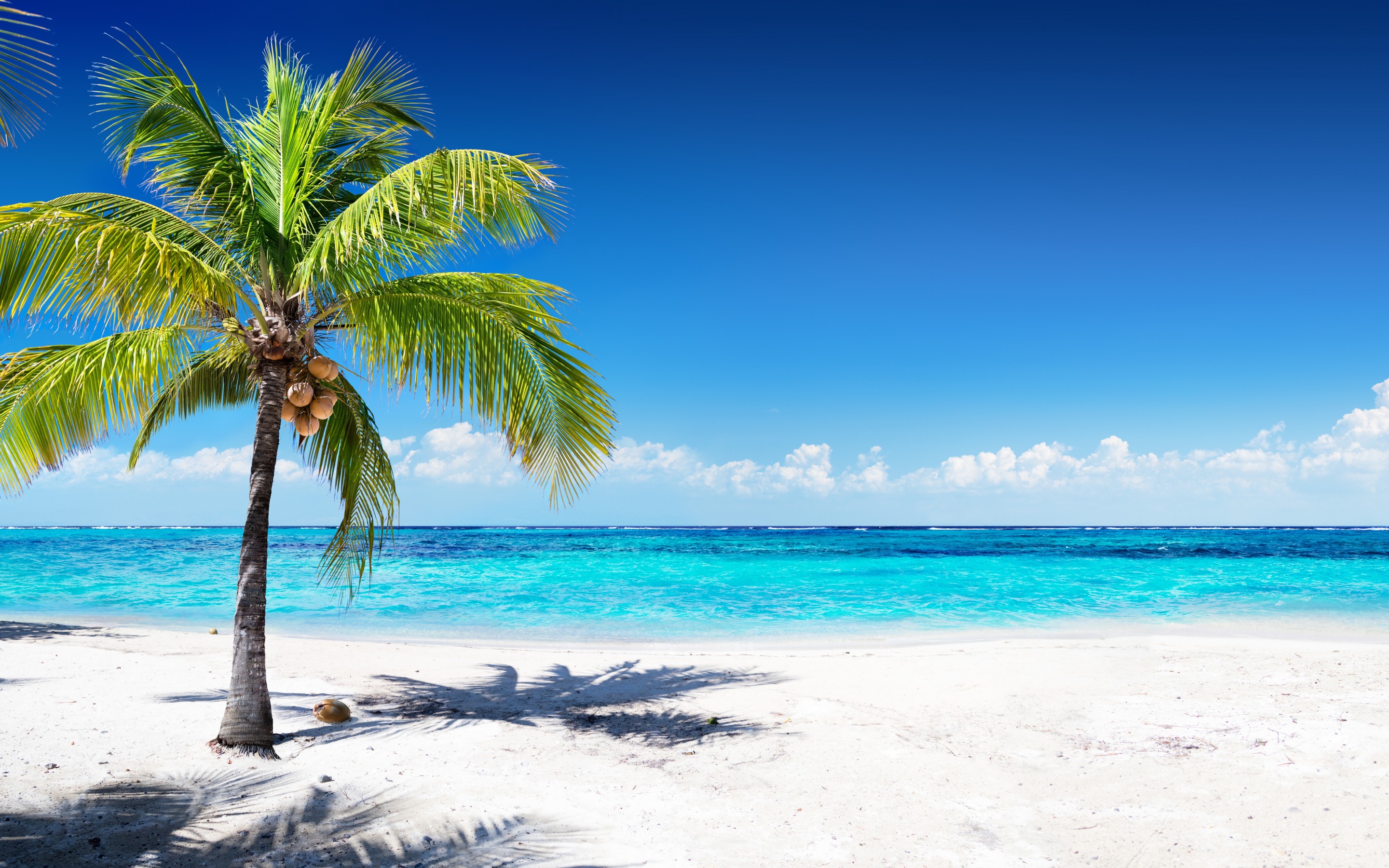 Palm Trees Beach Sand Waves Wallpapers - Wallpaper Cave