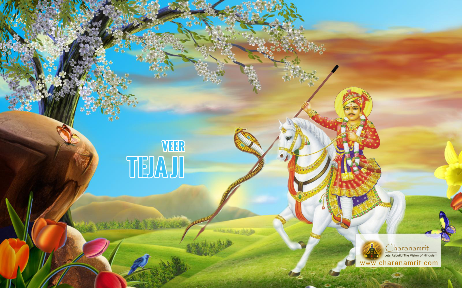 Teja Ji Wallpapers Wallpaper Cave