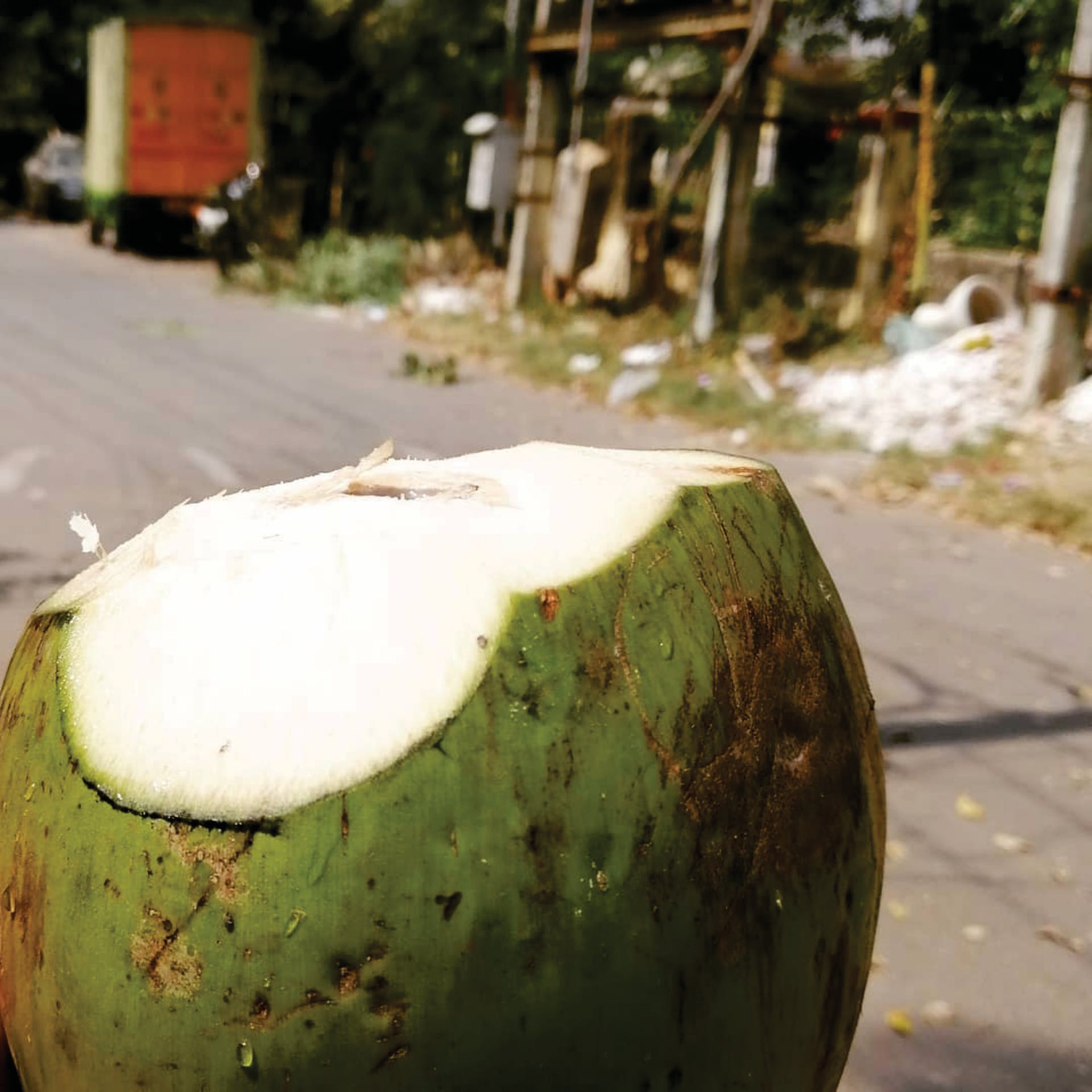 Summer Coconuts Wallpapers - Wallpaper Cave