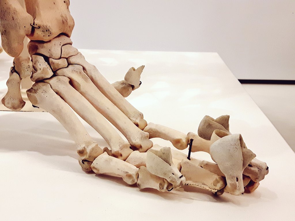 Retractable Claws Wallpapers - Wallpaper Cave