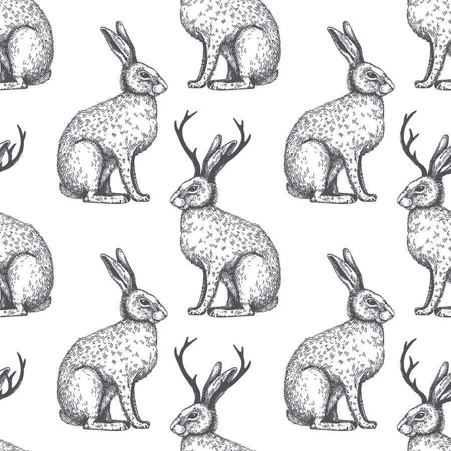 Jackalope Wallpapers - Wallpaper Cave