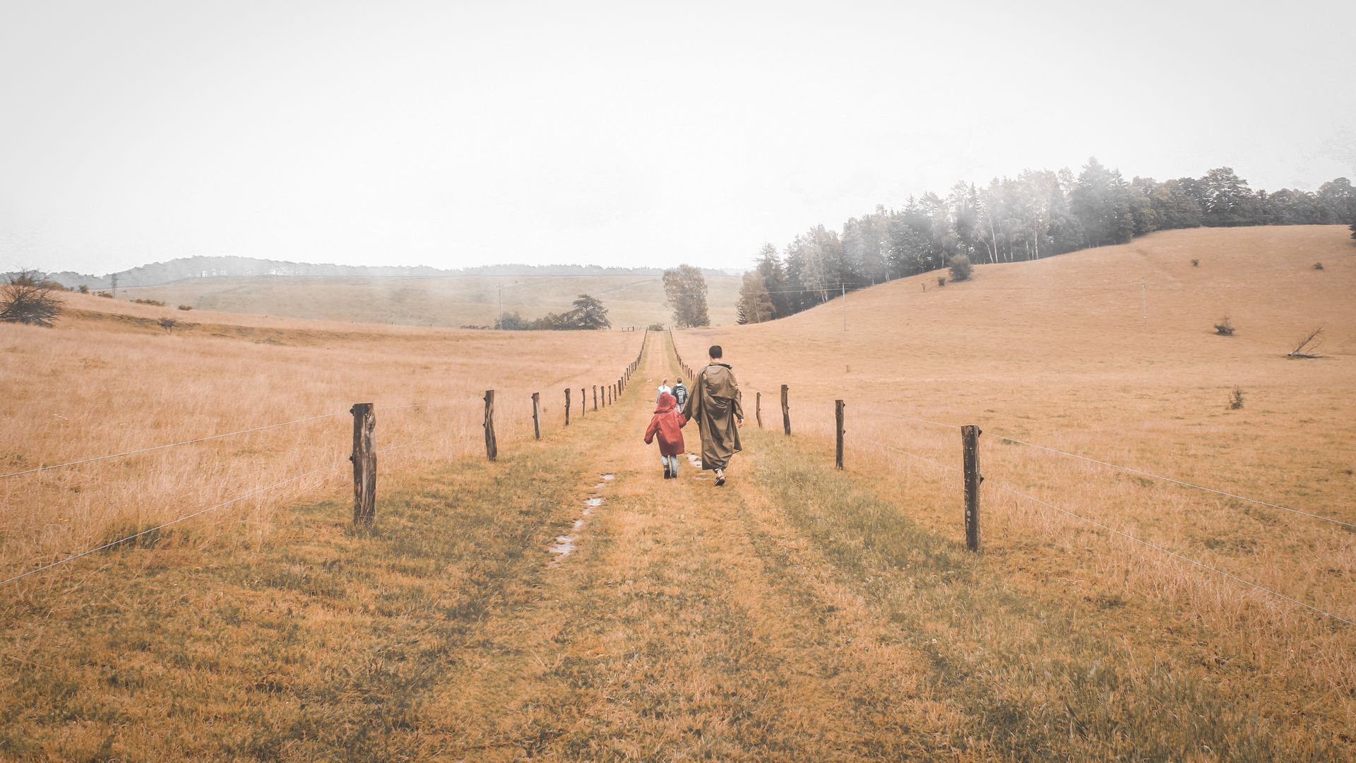 Summer Pathwalk Wallpapers - Wallpaper Cave