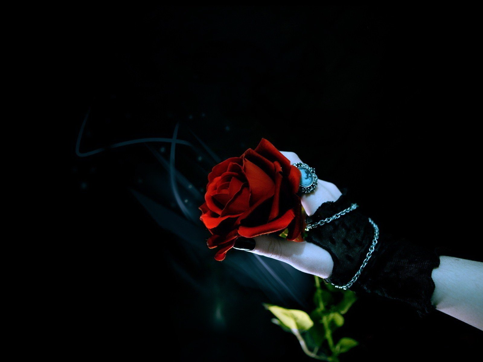 Rose In Hand Wallpapers - Wallpaper Cave