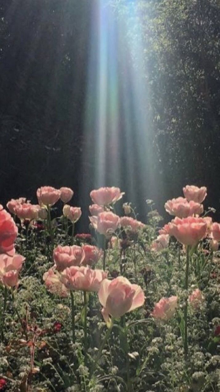 Cottagecore Spring Wallpapers - Wallpaper Cave