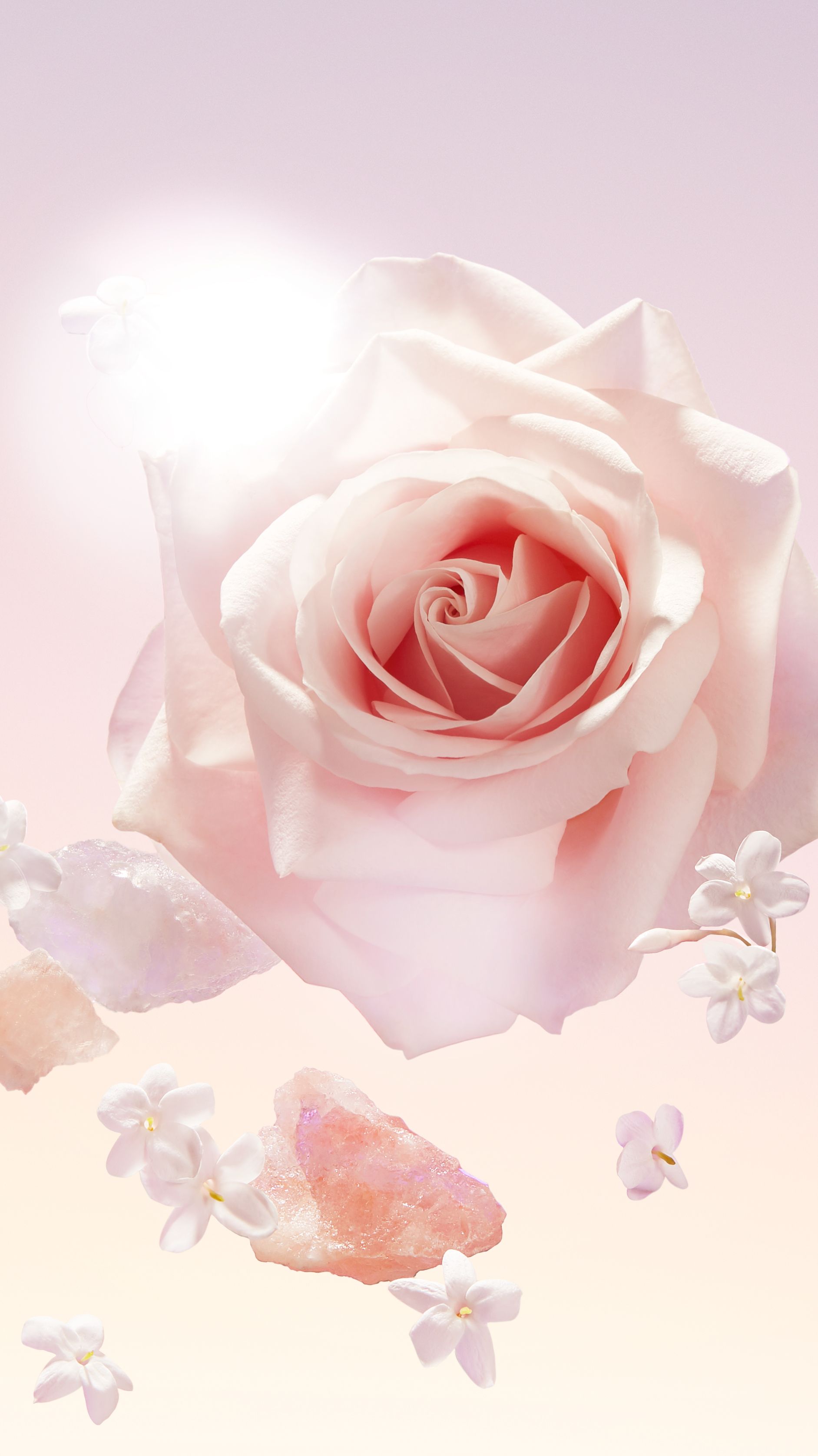 Lancôme Wallpapers - Wallpaper Cave