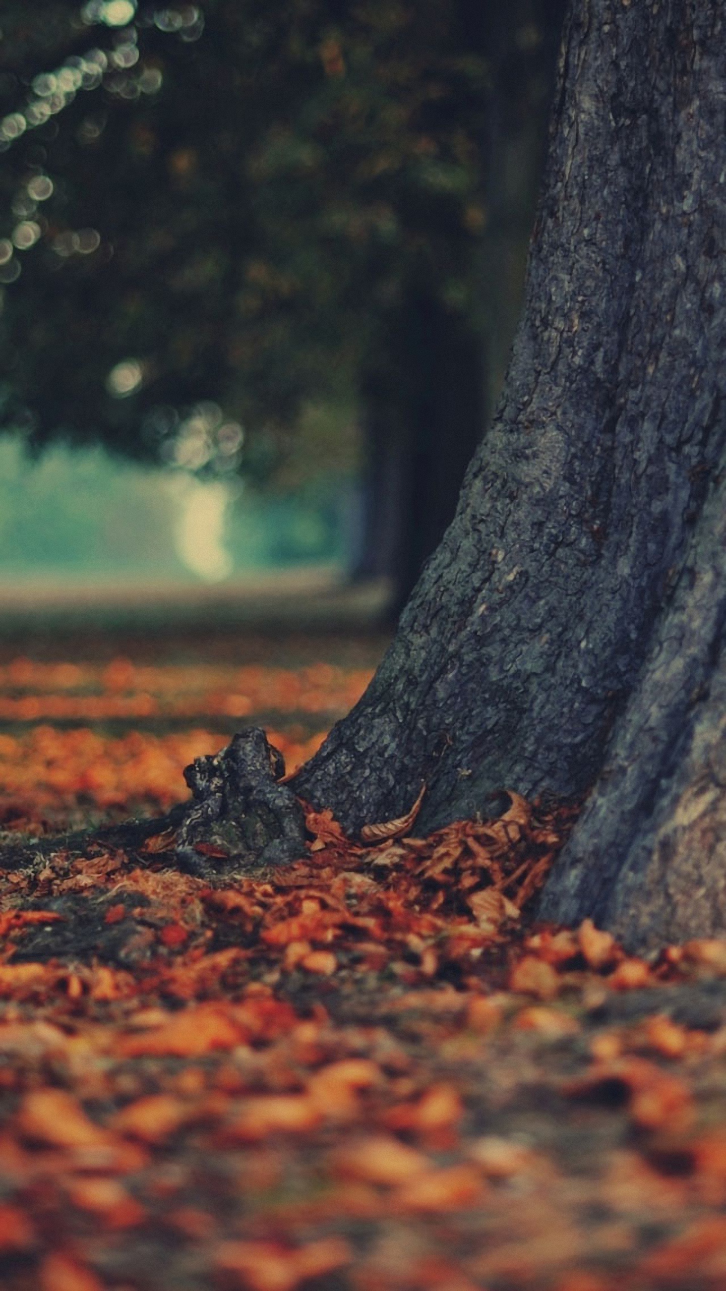 Autumn Vertical Wallpapers - Wallpaper Cave