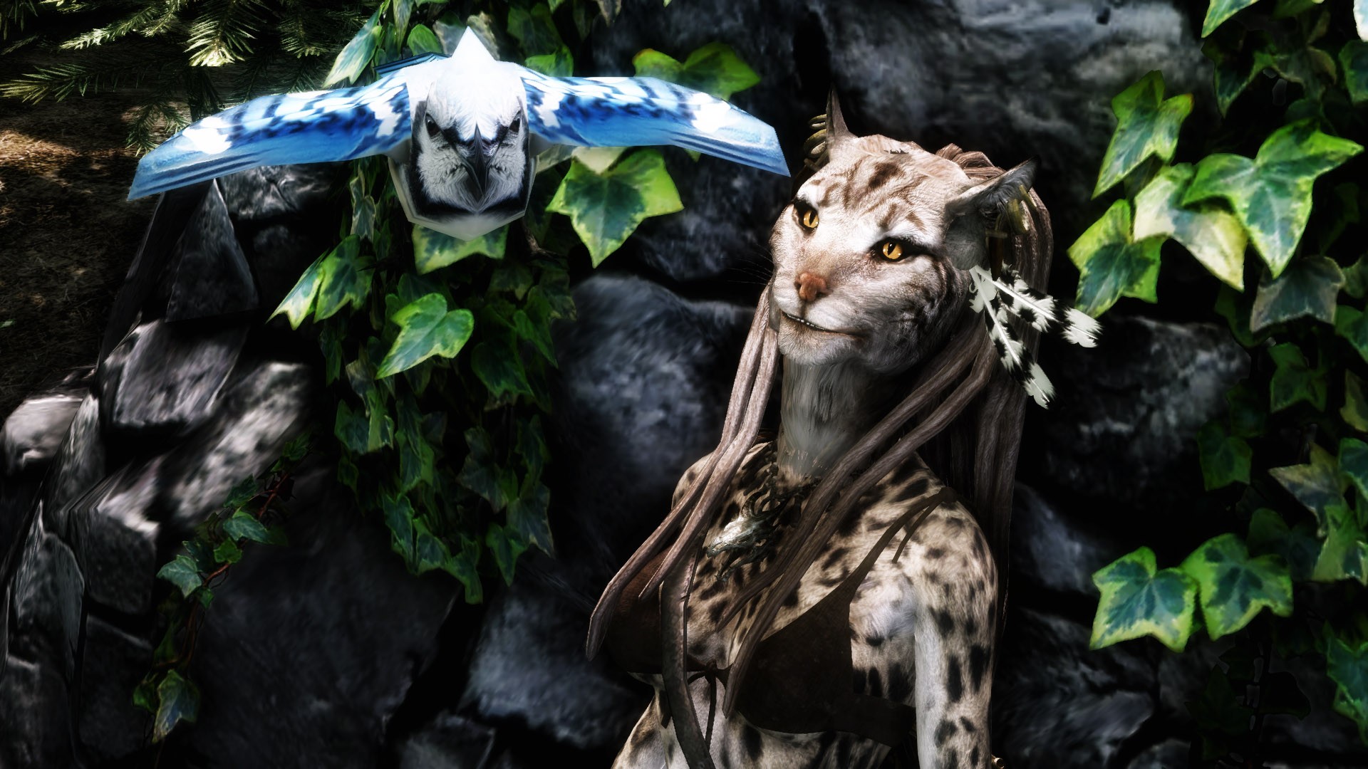 Khajiit Wallpapers - Wallpaper Cave