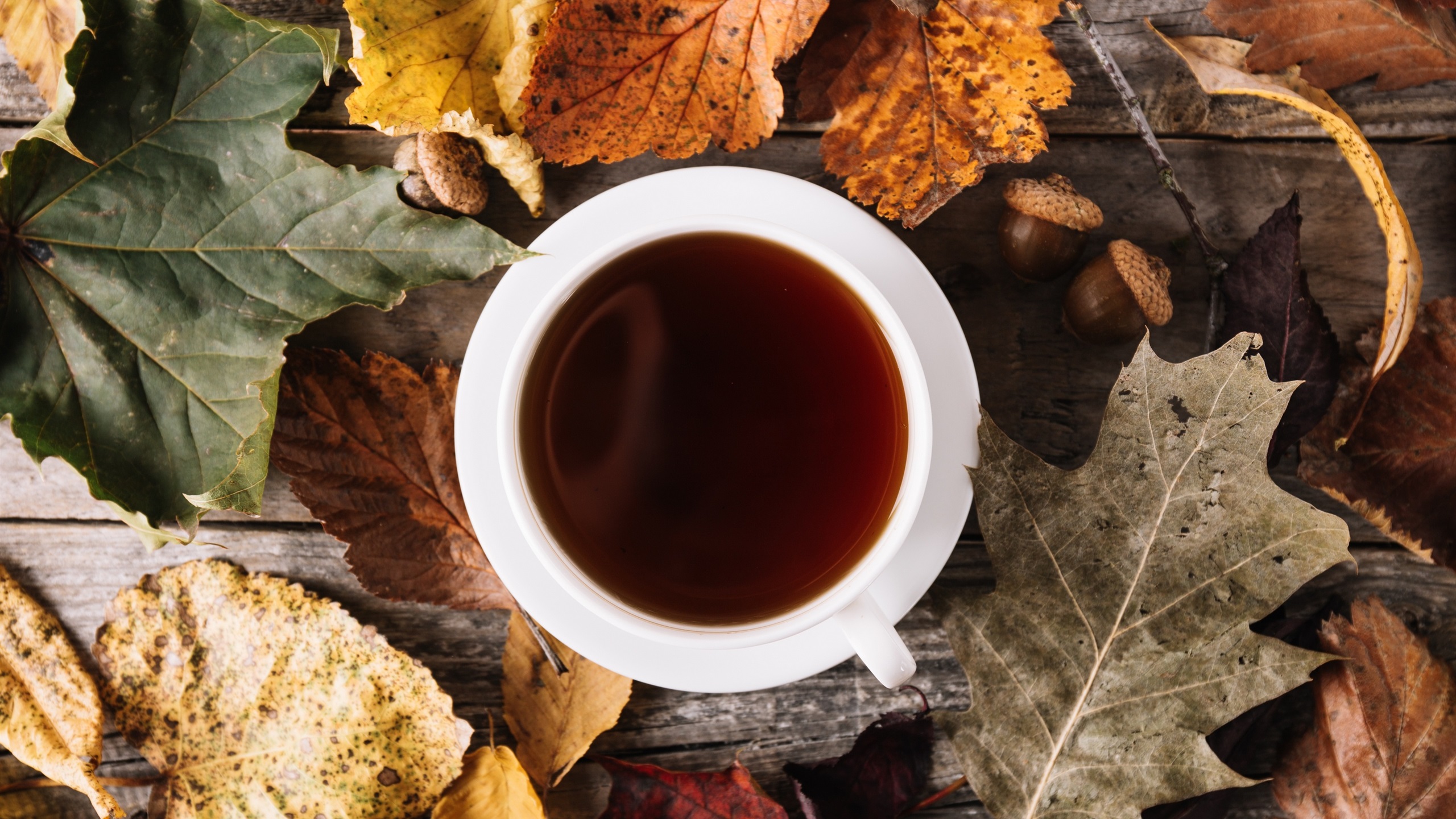 Autumn Mug 4k Wallpapers - Wallpaper Cave