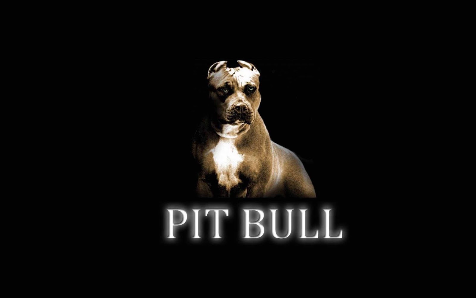 Strong Dogs Wallpapers - Wallpaper Cave