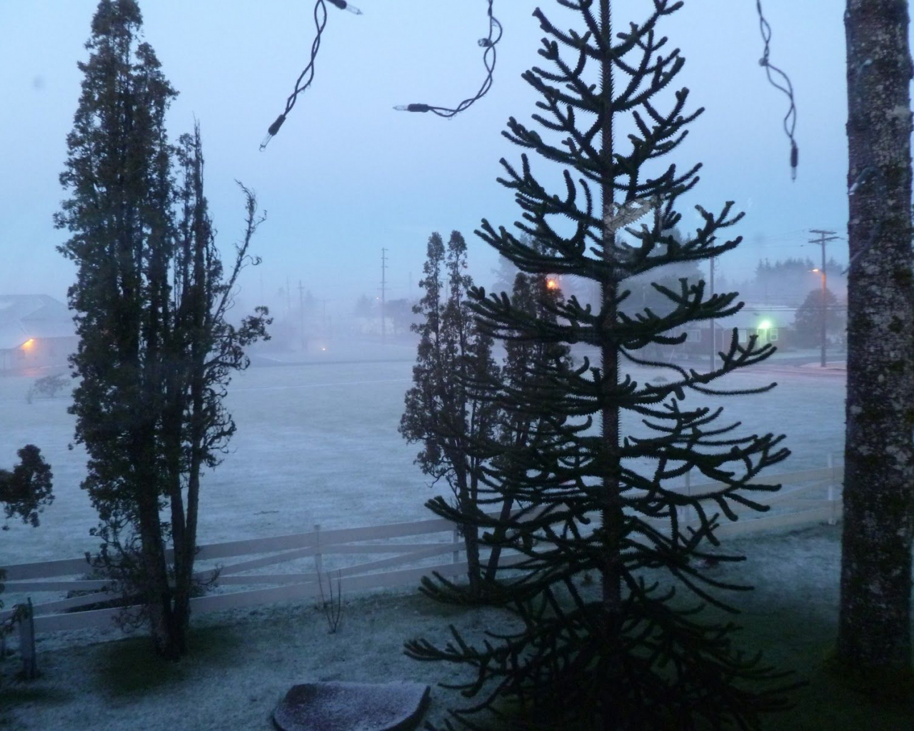 PNW Wallpapers - Wallpaper Cave