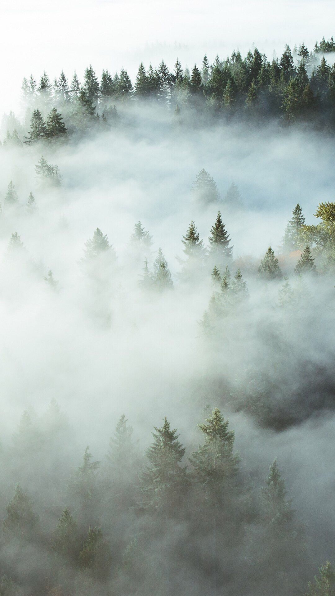 PNW Wallpapers - Wallpaper Cave