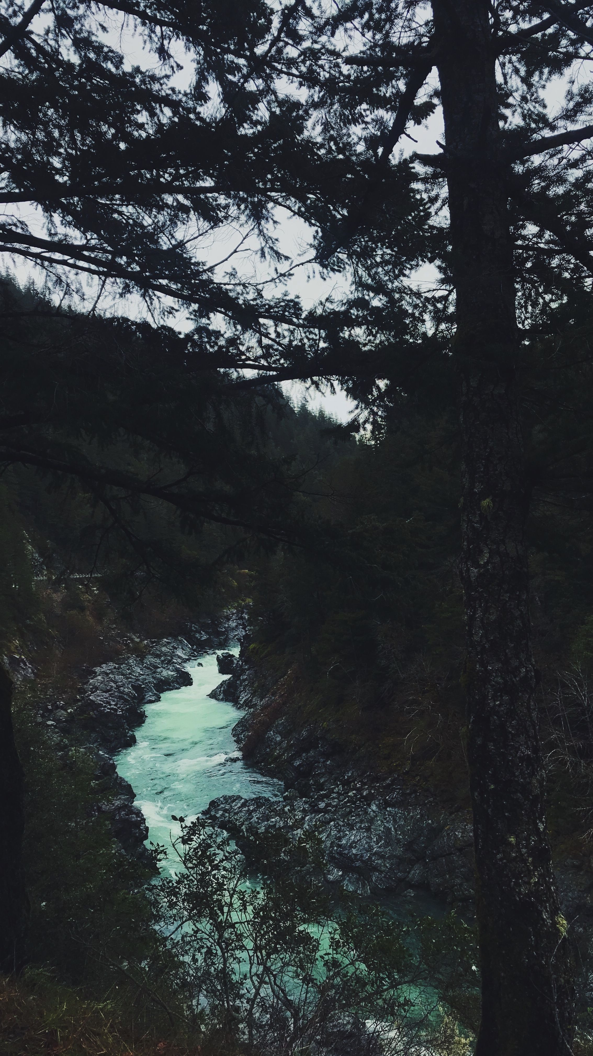 PNW Wallpapers - Wallpaper Cave