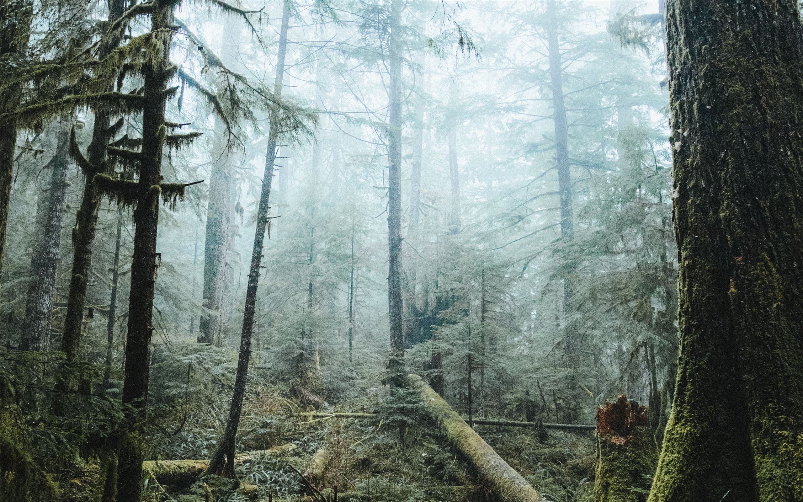 PNW Wallpapers - Wallpaper Cave