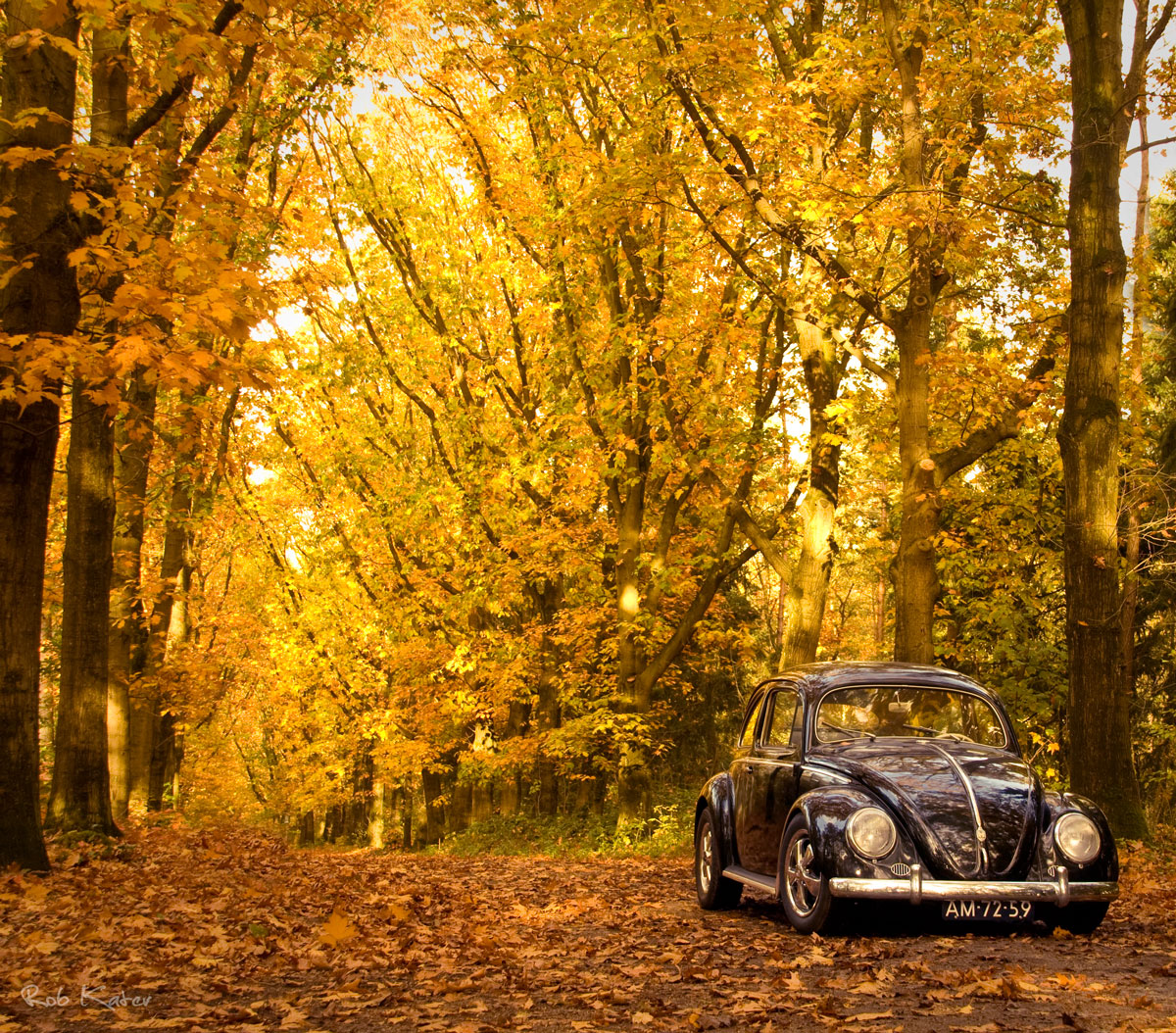 Autumn Volkswagen Bug Wallpapers - Wallpaper Cave