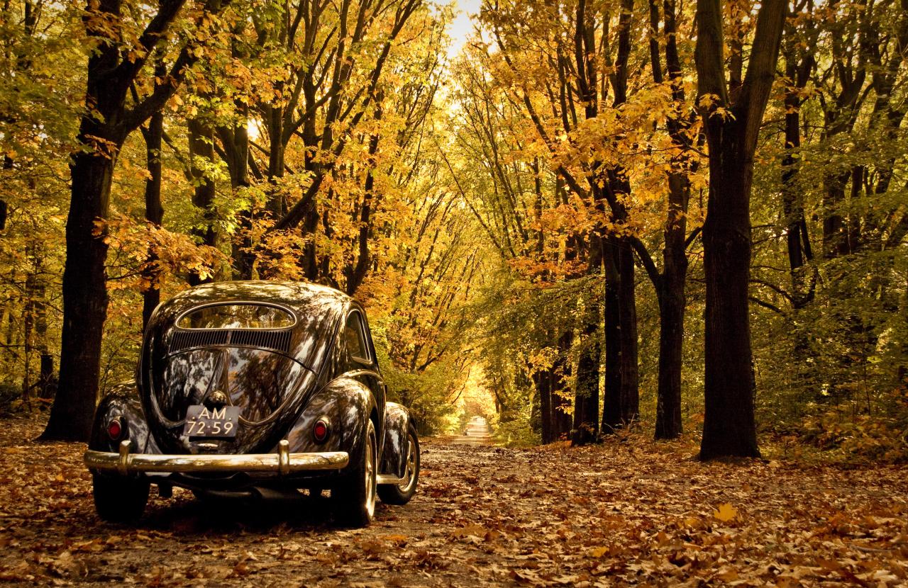 Autumn Volkswagen Wallpapers - Wallpaper Cave