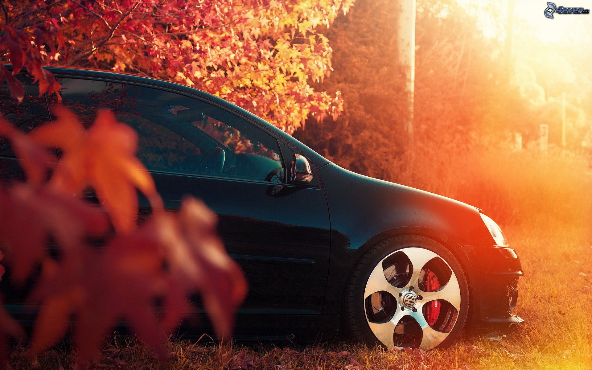 Autumn Volkswagen Wallpapers - Wallpaper Cave