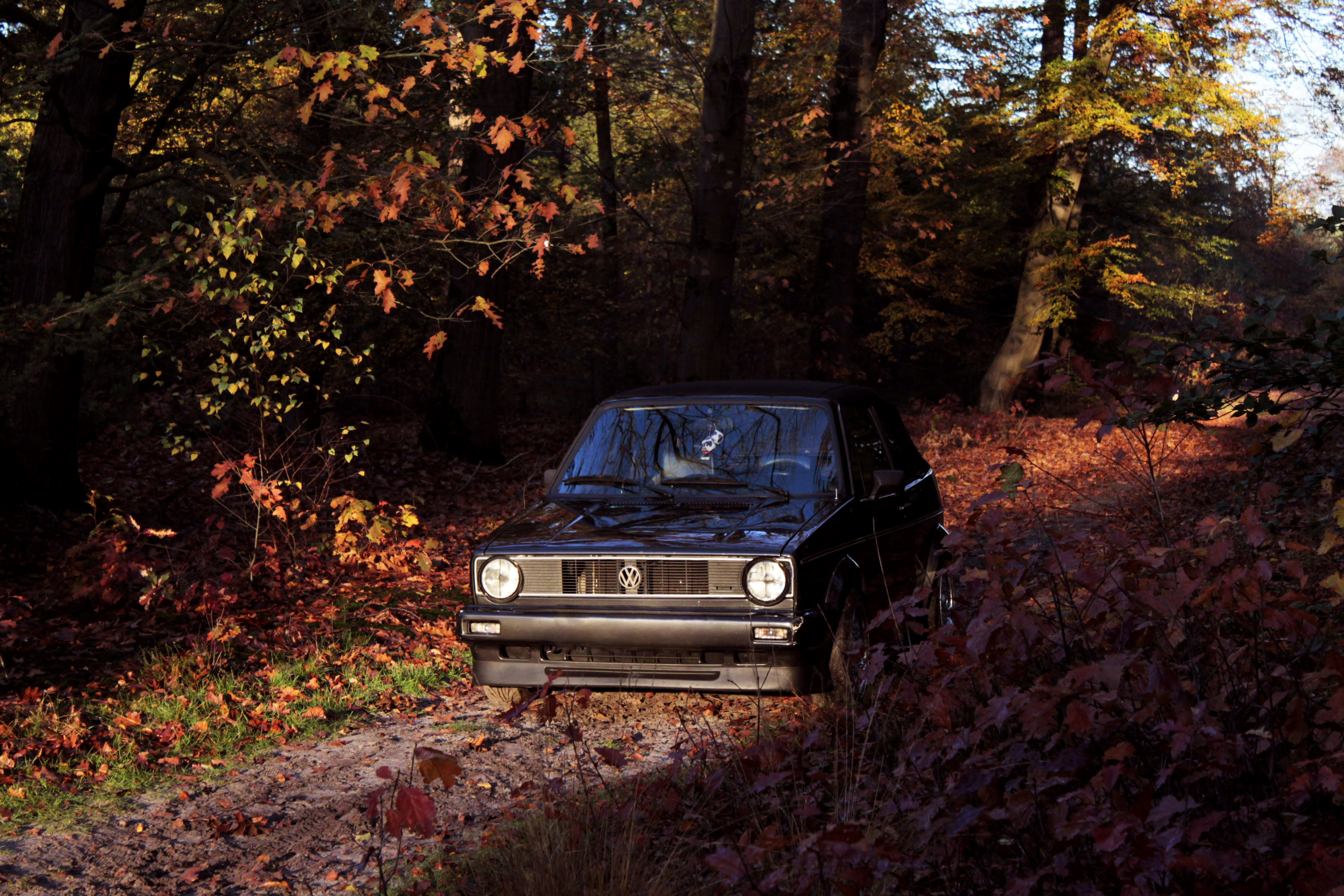Autumn Volkswagen Wallpapers - Wallpaper Cave