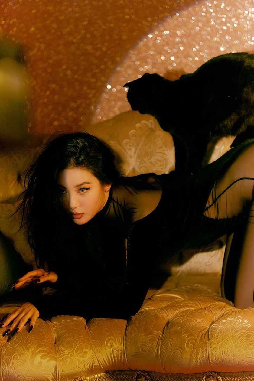 Tail Sunmi Wallpapers - Wallpaper Cave