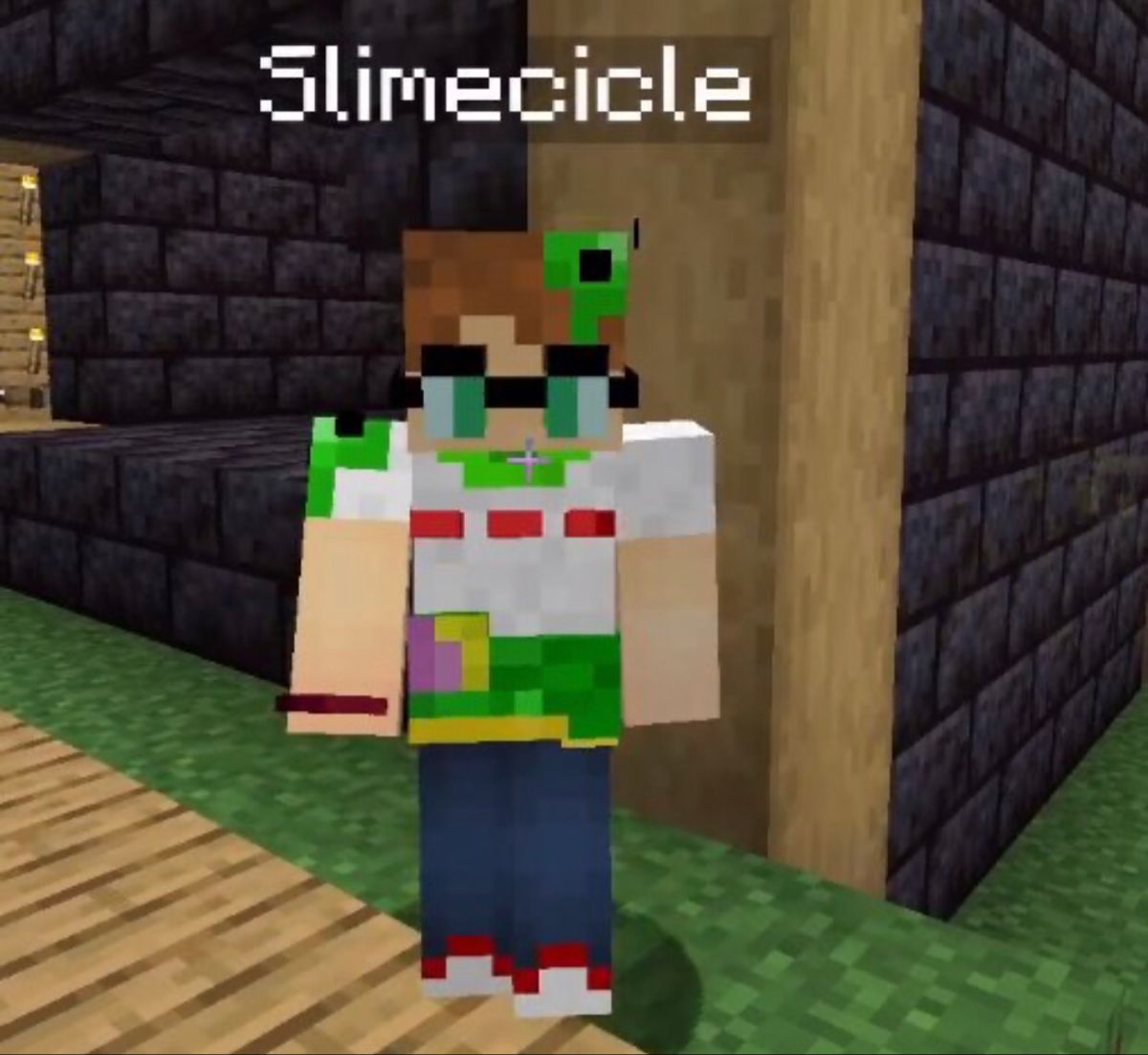 Slimecicle Wallpapers - Wallpaper Cave