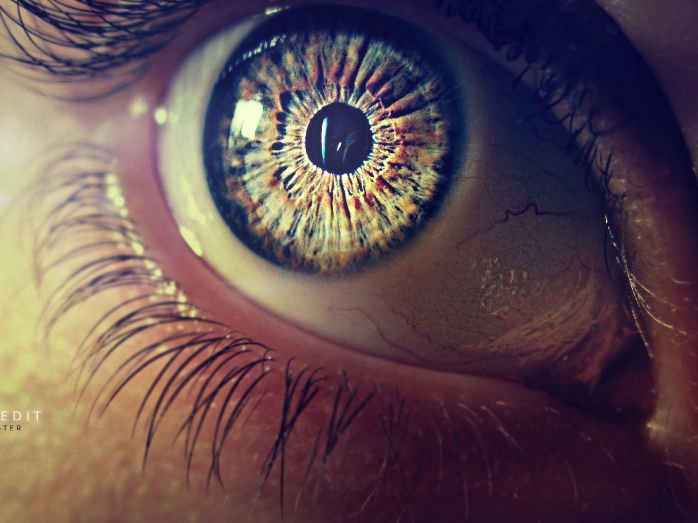 Pupil Wallpapers - Wallpaper Cave