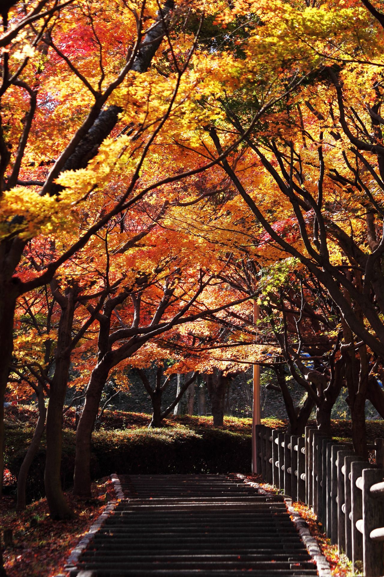 Autumn Vibe Wallpapers - Wallpaper Cave