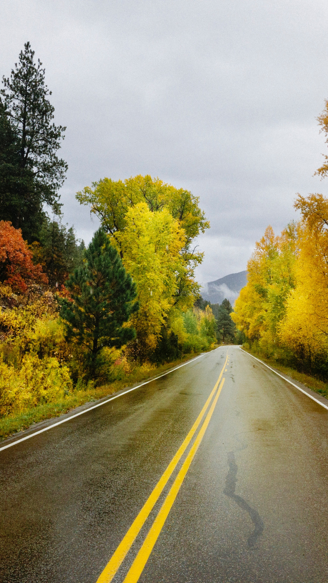 Autumn Vibe Wallpapers - Wallpaper Cave