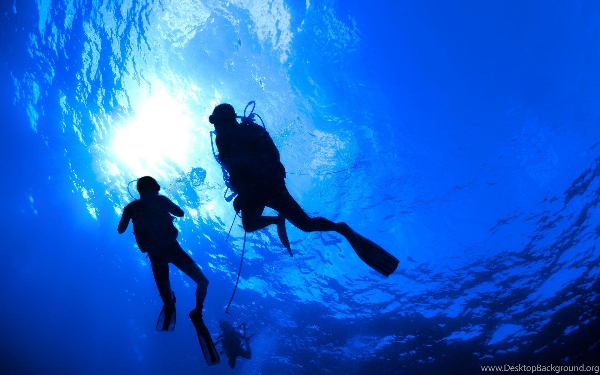 Scuba Diver Wallpapers - Wallpaper Cave