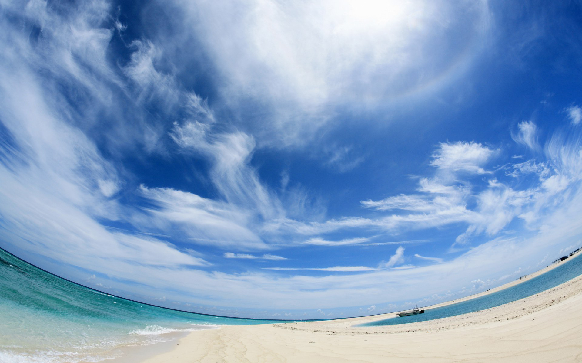 Fish Eye Wallpapers - Wallpaper Cave