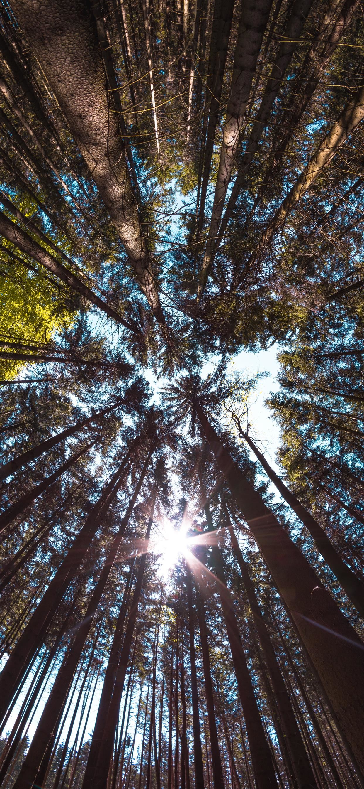 Fish Eye Wallpapers - Wallpaper Cave