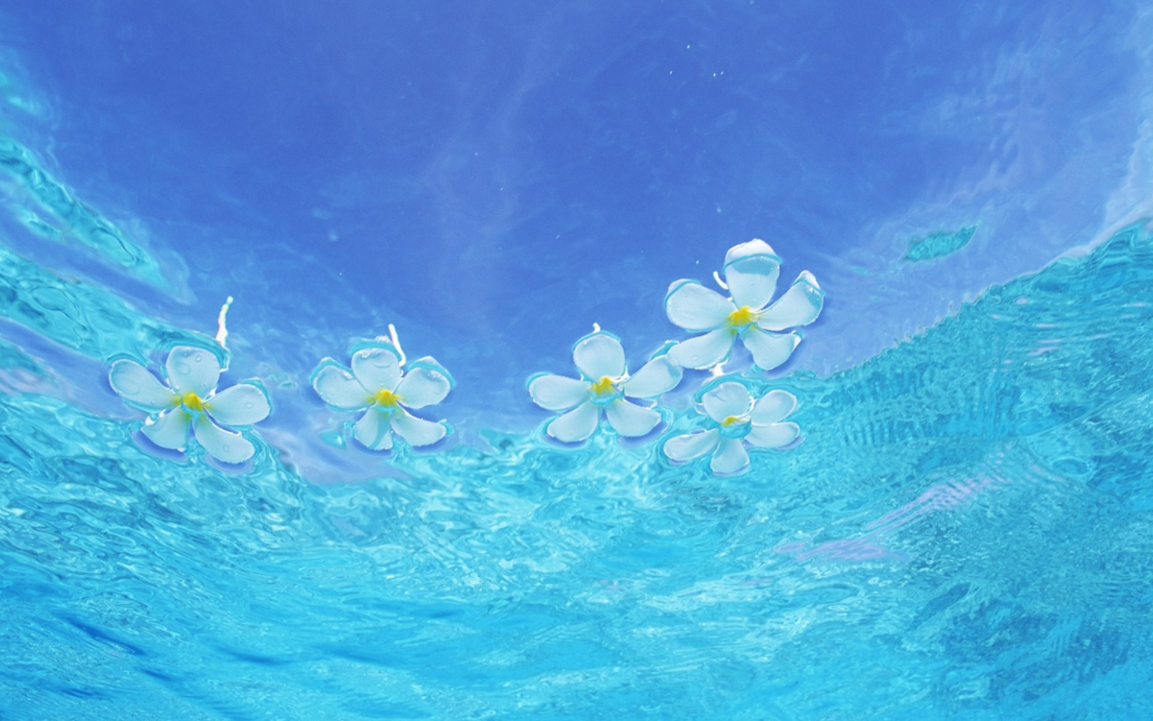 Water Computer Wallpapers - Wallpaper Cave