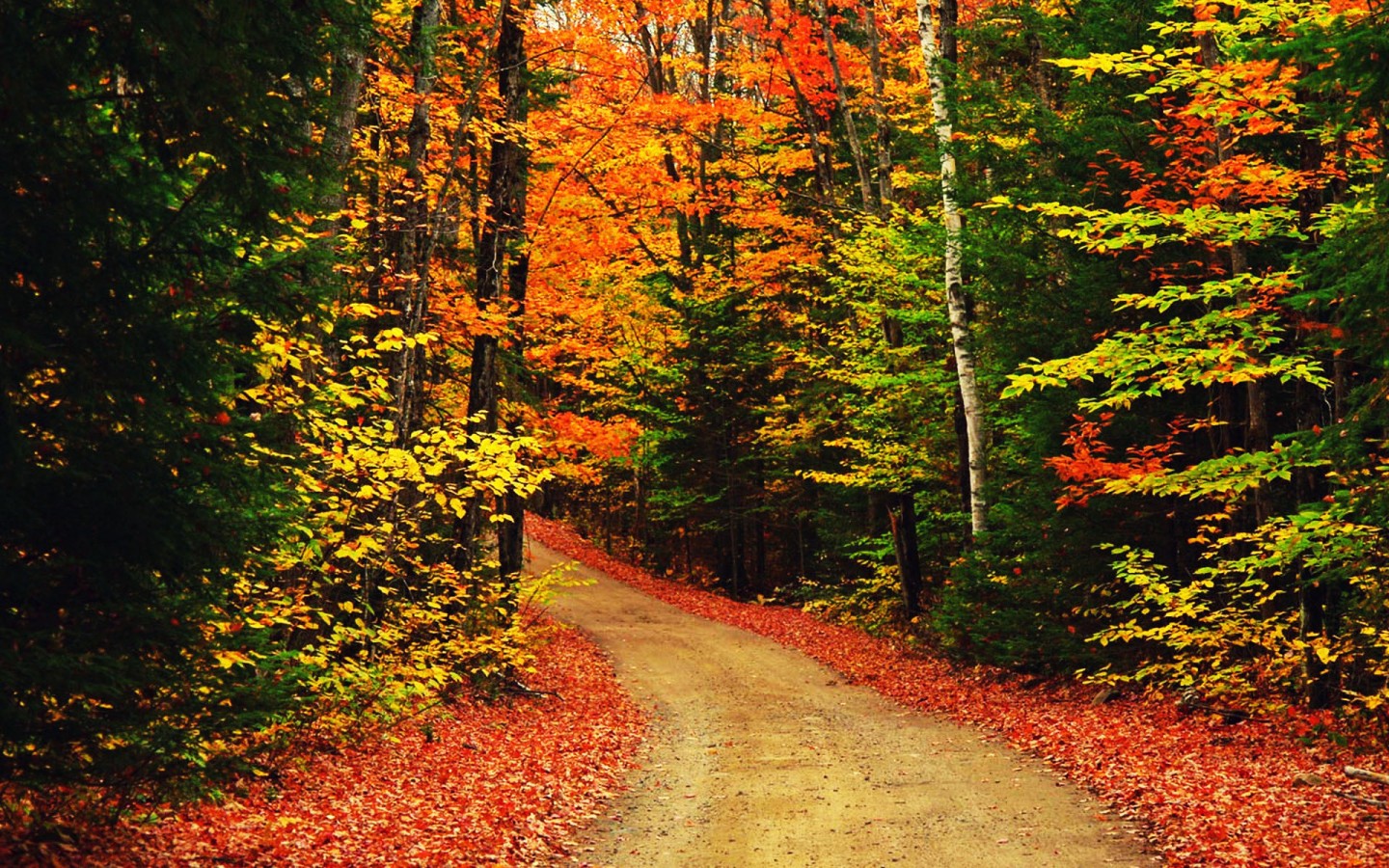 Autumn Tumblr Laptop Wallpapers - Wallpaper Cave