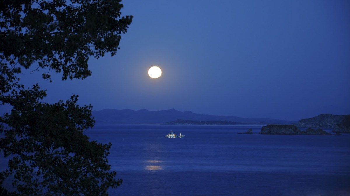 Full Moon Summer Wallpapers - Wallpaper Cave