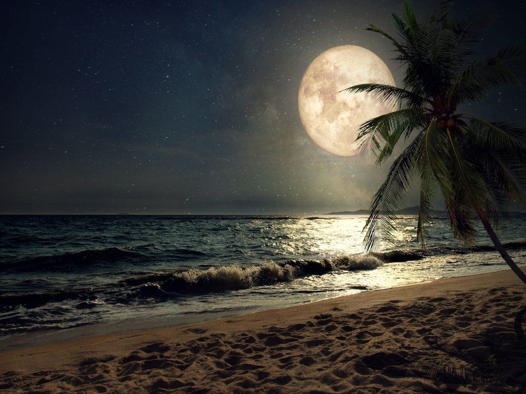 Full Moon Summer Wallpapers - Wallpaper Cave