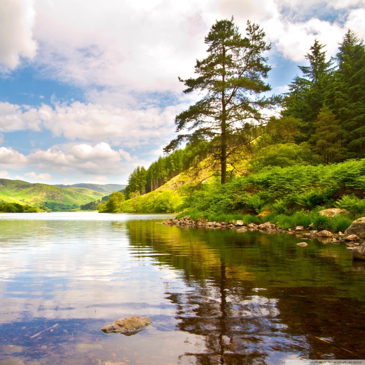 Summer Mountain Lake Wallpapers - Wallpaper Cave