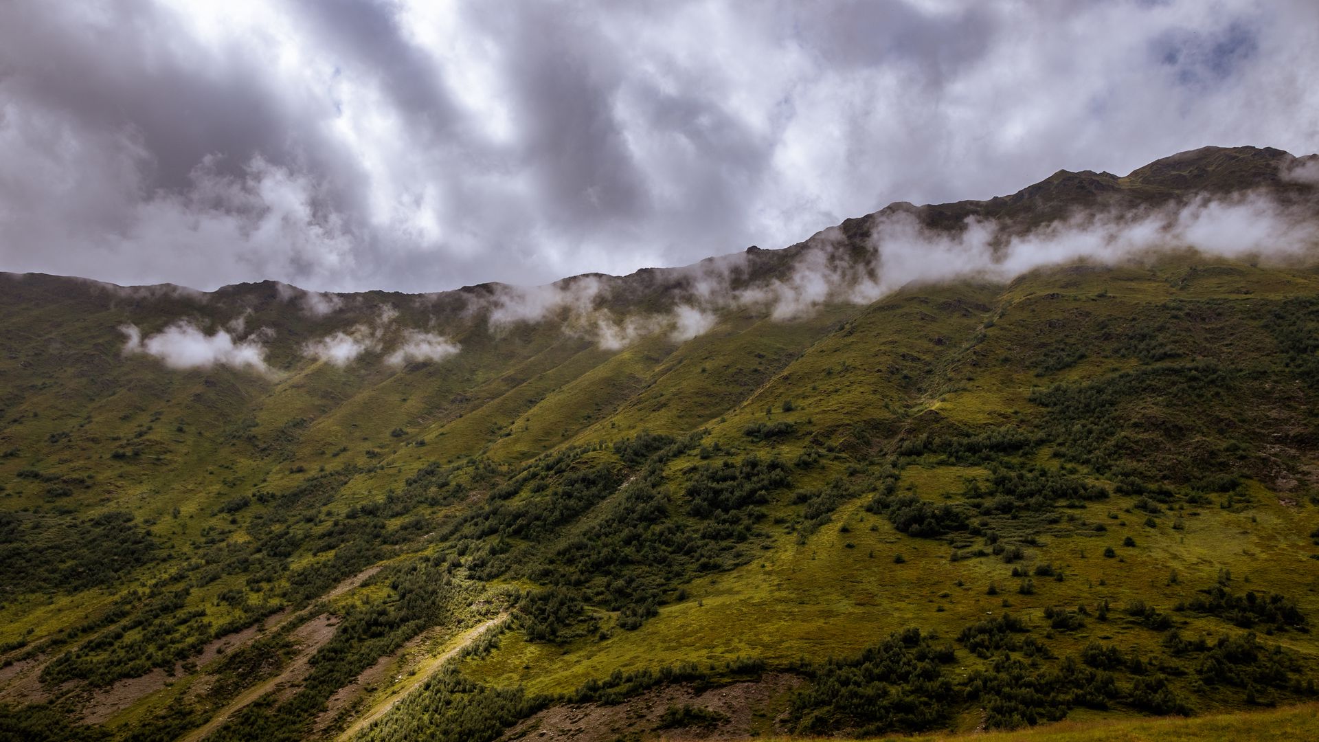 Trees Grass Hills Valley And Sky Wallpapers - Wallpaper Cave