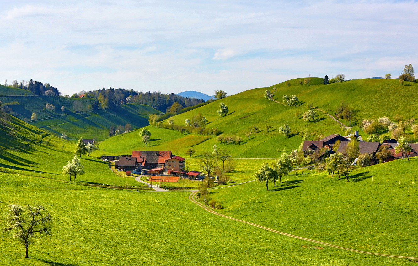 Trees Grass Hills Valley And Sky Wallpapers - Wallpaper Cave