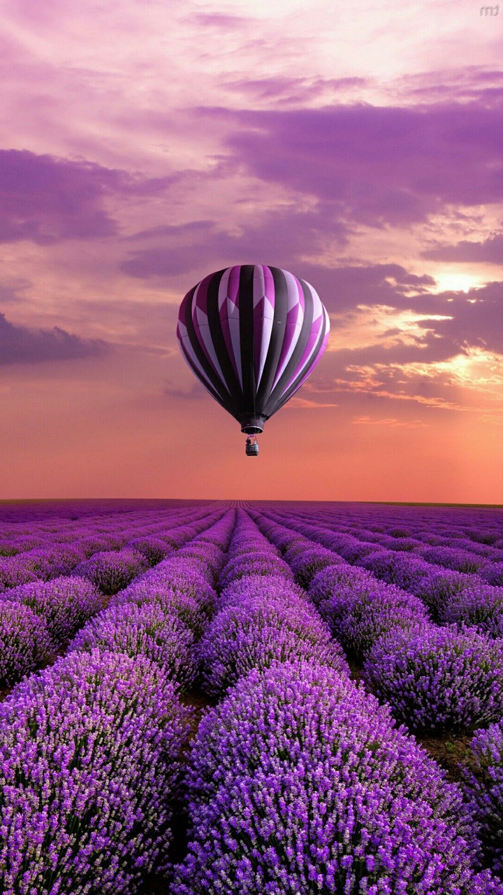 Note 21 Wallpapers - Wallpaper Cave