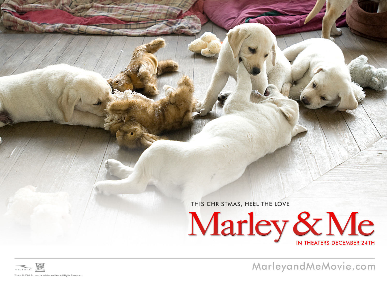 Marley And Me 2 Wallpapers - Wallpaper Cave