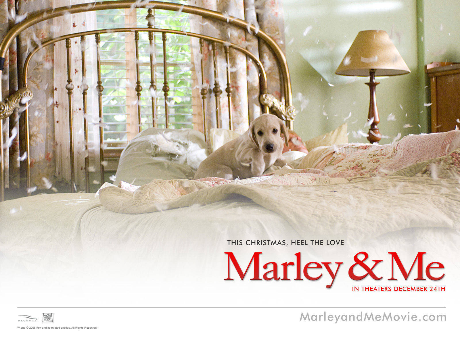 Marley And Me Wallpapers - Wallpaper Cave