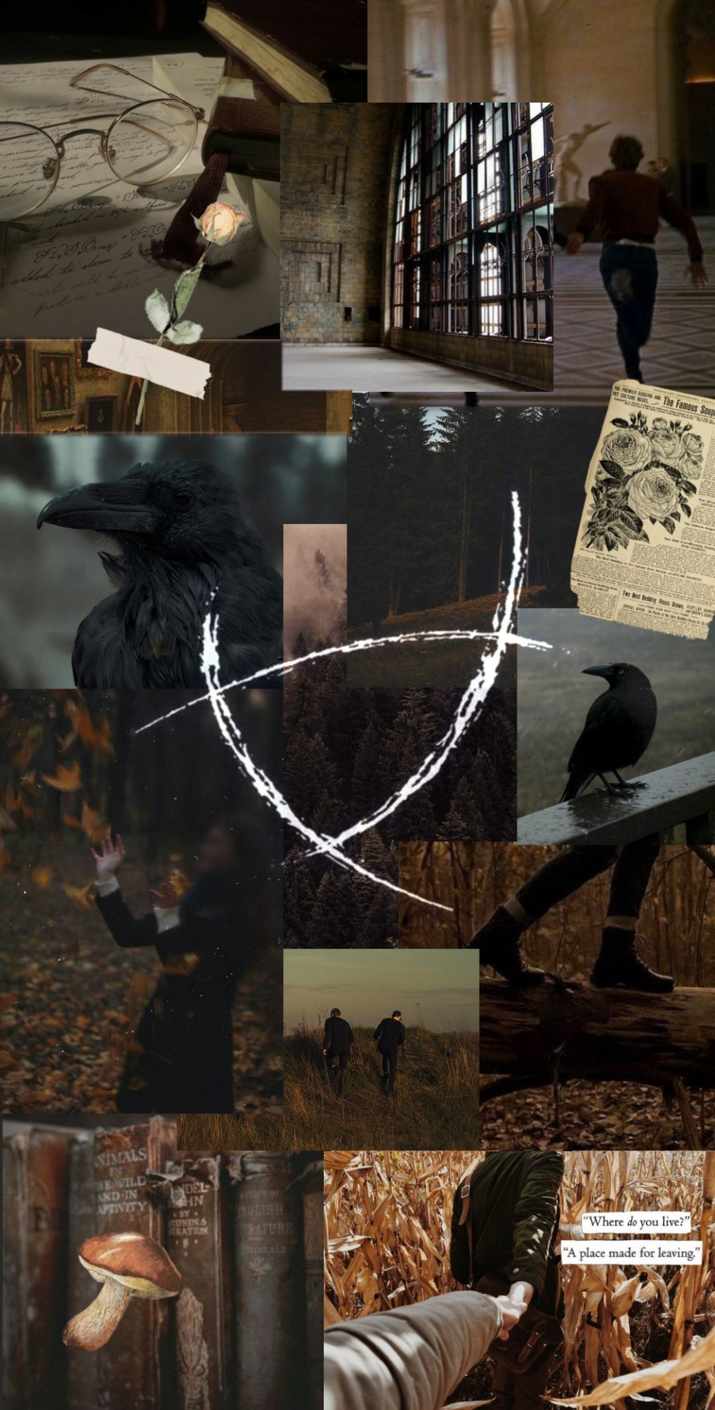 The Raven Cycle Wallpapers - Wallpaper Cave