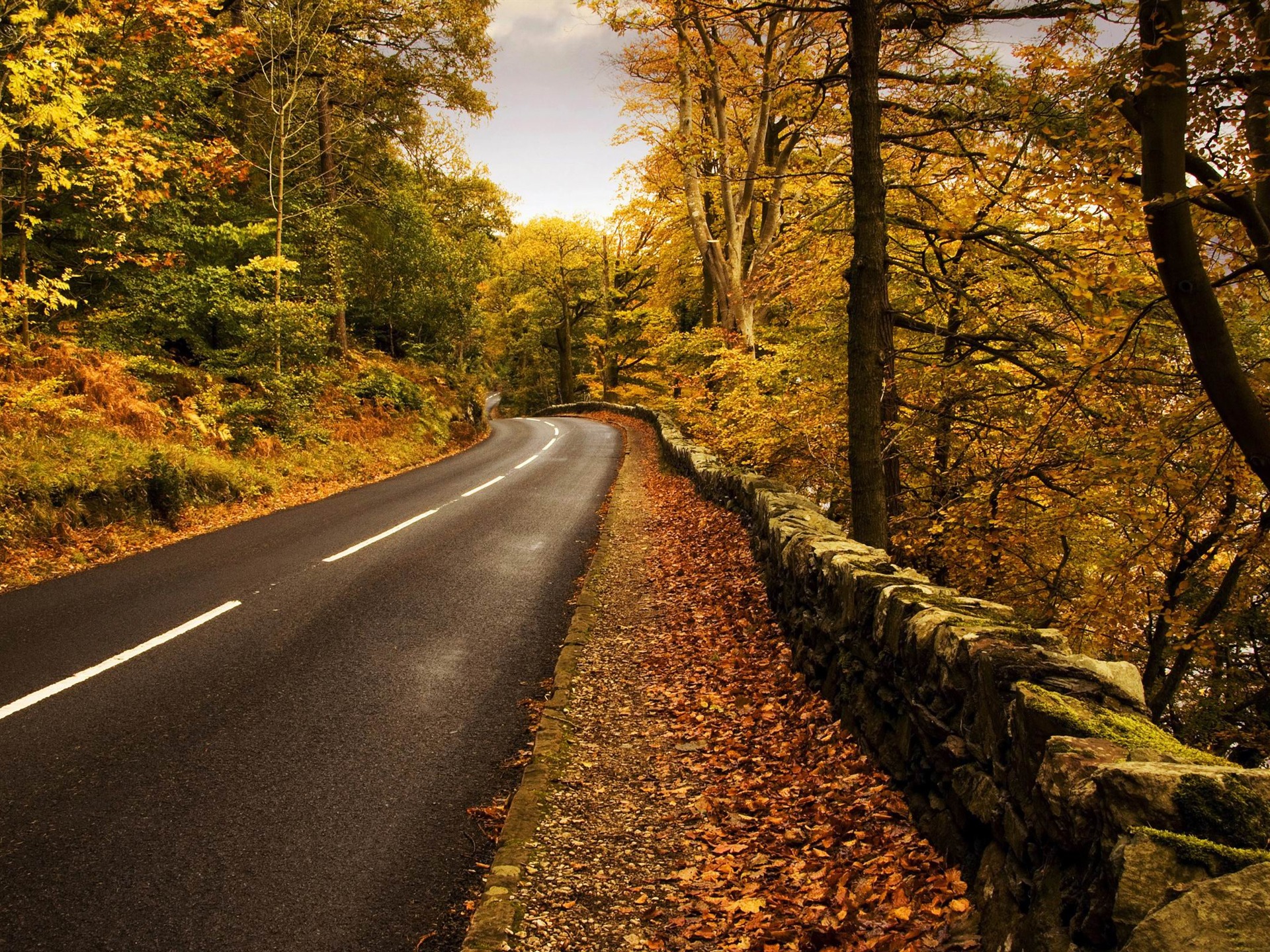 Jungle Road Wallpapers - Wallpaper Cave