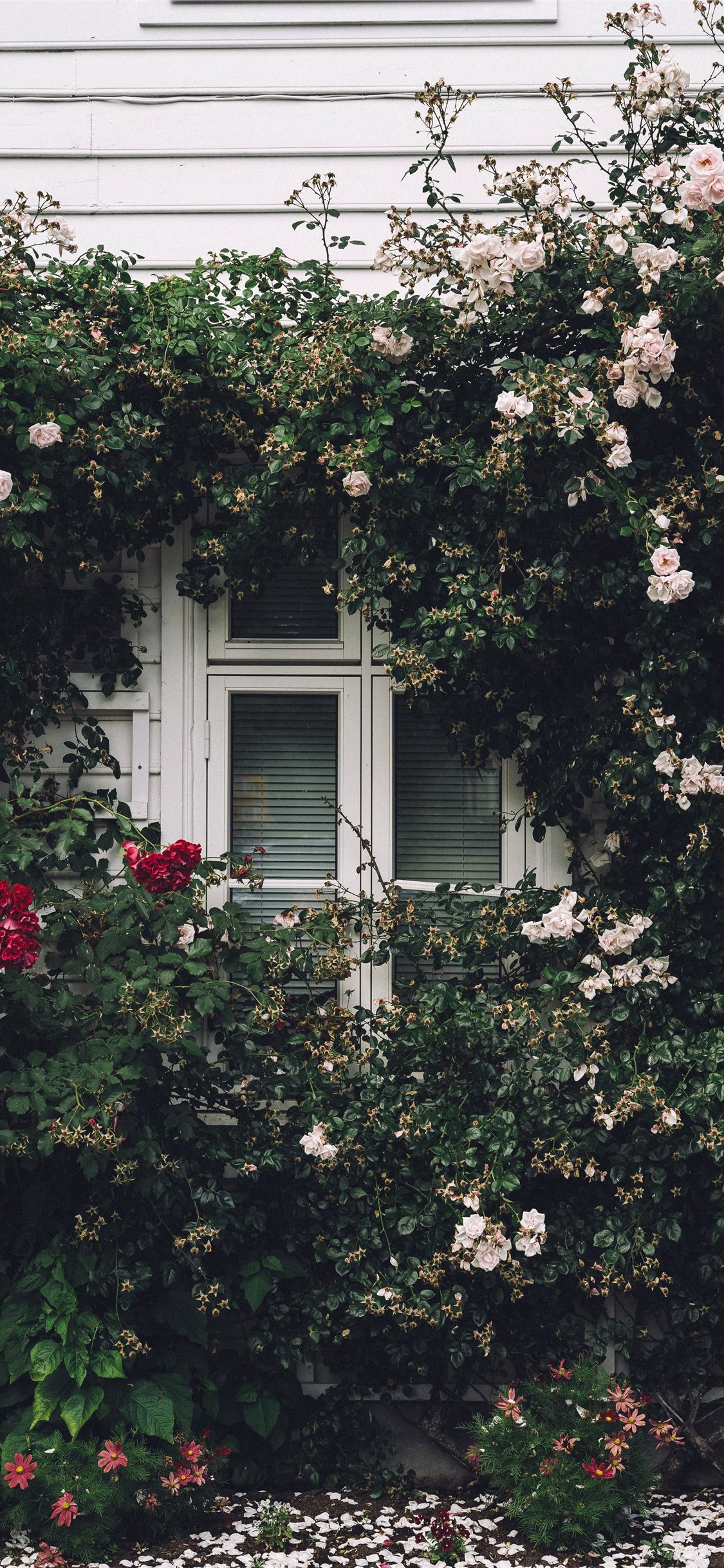 Window Summer Wallpapers - Wallpaper Cave