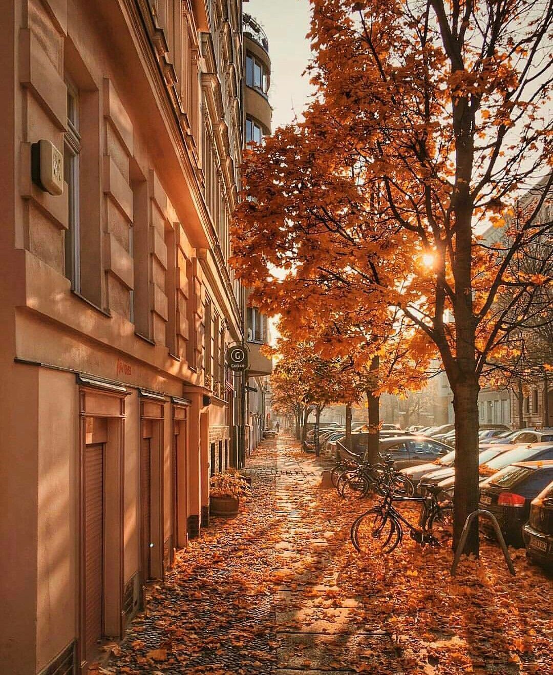 Autumn Berlin Wallpapers - Wallpaper Cave