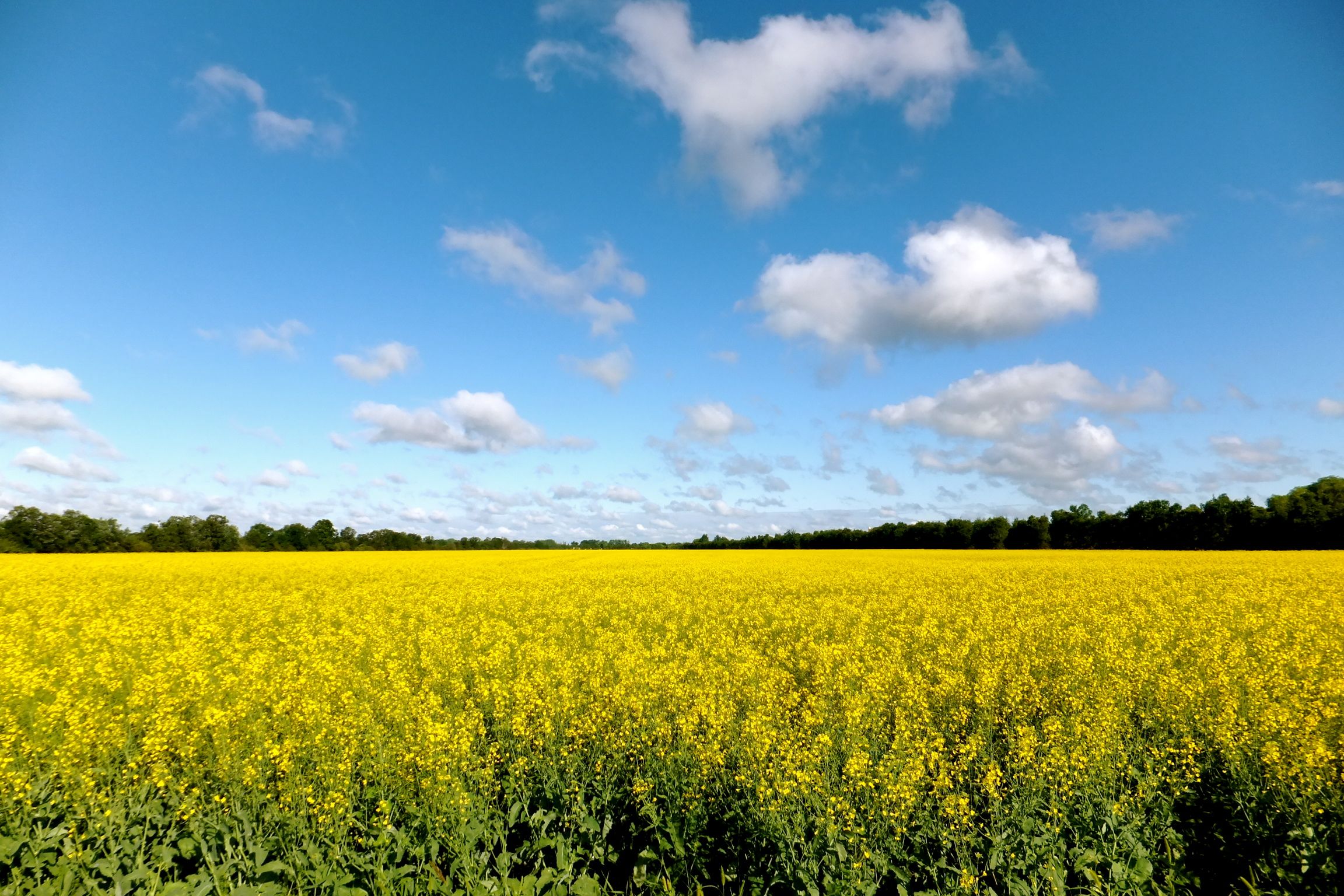 Manitoba Wallpapers - Wallpaper Cave