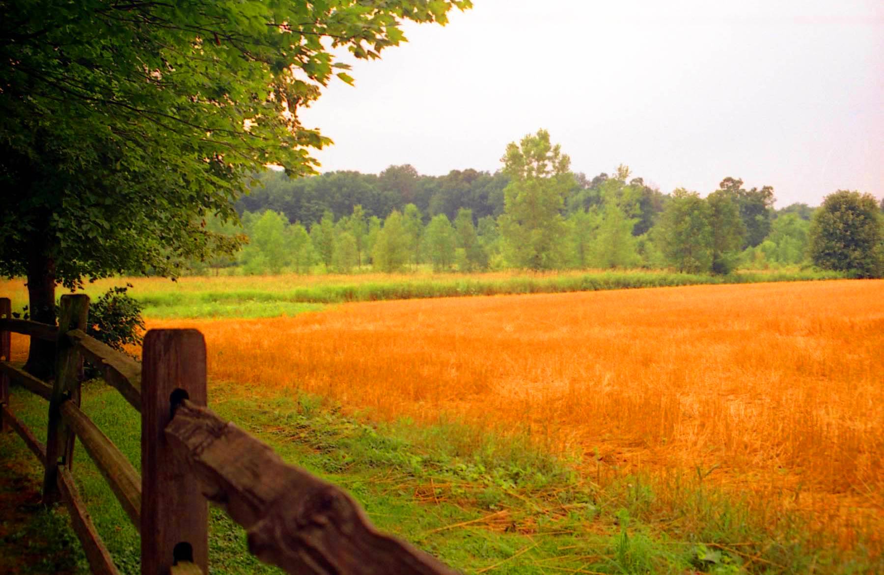 Late Summer Wallpapers - Wallpaper Cave