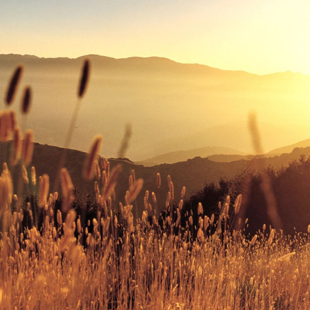 Late Summer Wallpapers - Wallpaper Cave