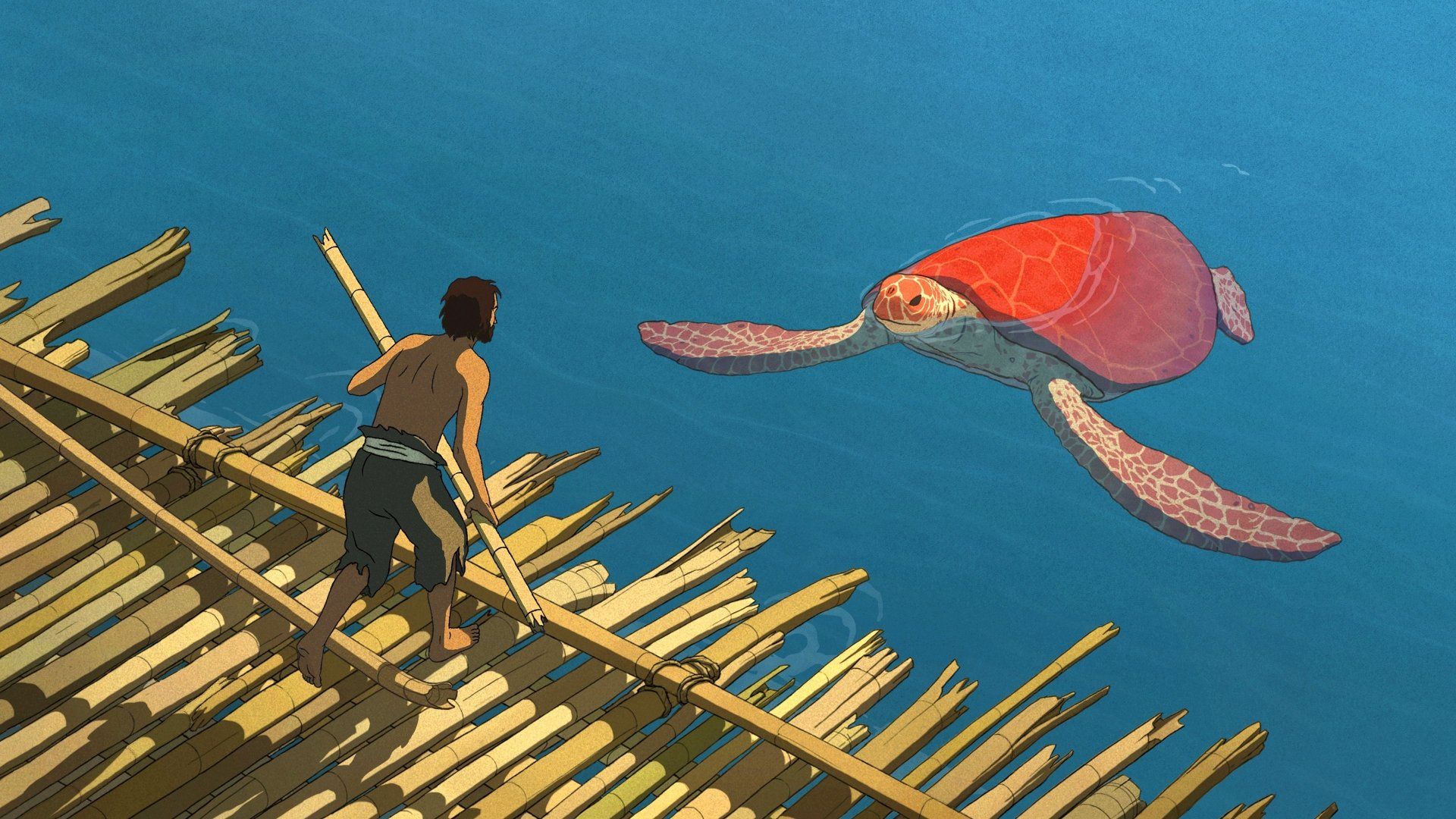 The Red Turtle Wallpapers - Wallpaper Cave